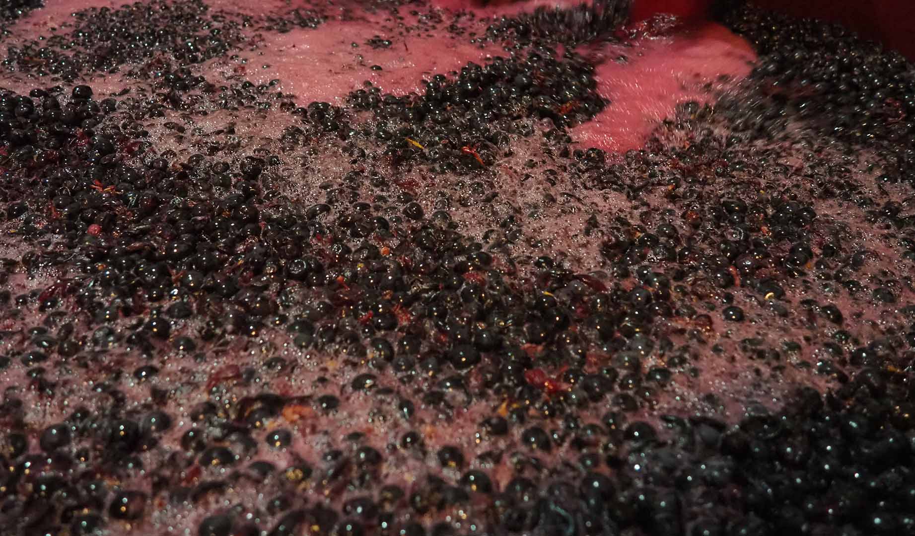 Qué Es La Maceración De Los Vinos Y Para Qué Sirve – OVSKI